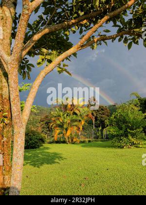 Rainbow, AlcalÃ¡, Colombia Stock Photo - Alamy