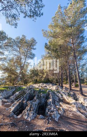 Necropolis, Sant Miquel d'Olèrdola, Barcelona, Spain Stock Photo - Alamy