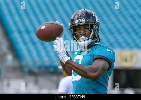Jacksonville Jaguars wide receiver Calvin Ridley (0) loosens up during ...