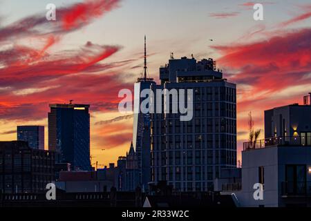 View of the World Trade Center and the Dime Building from a window in ...