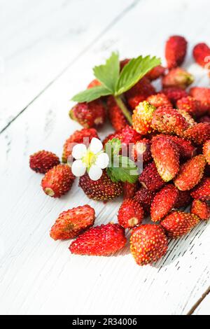 wild strawberries red outdoor Stock Photo - Alamy