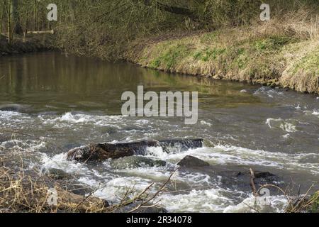River Erft in Neuss Stock Photo - Alamy