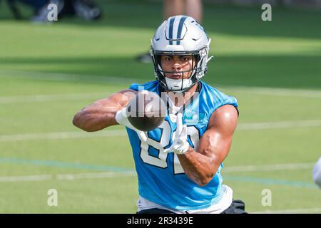 Carolina Panthers tight end Tommy Tremble (82) runs the ball after a ...