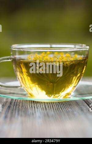 Fennel herbal tea Stock Photo - Alamy