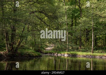 Park in Hosingen Stock Photo - Alamy
