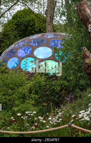 The Royal Entomological Society Garden designed by Tom Massey at the ...
