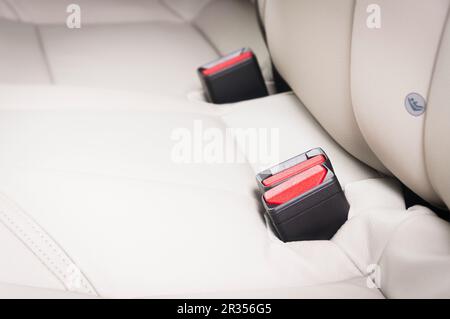 Back passenger white leather seats in modern luxury car. White ...
