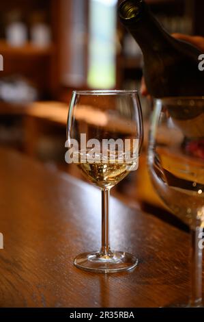 Tasting of variety of rioja wines, visit of winery cellars with french ...