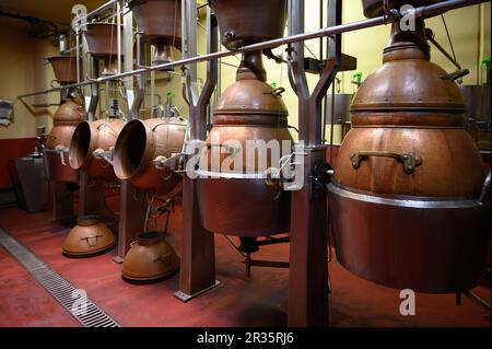 Gin alcoholic drink distillation process in copper tanks in Spanish ...