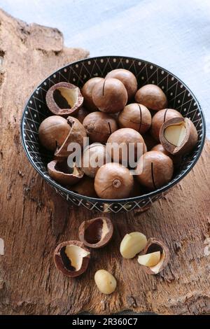 One piece of tree bark on white background Stock Photo - Alamy