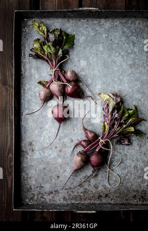 Wooden tray with several fresh beetroot displayed on. Blank space in ...