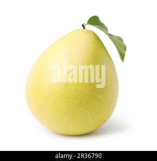 Fresh pomelo fruit isolated on white background Stock Photo - Alamy