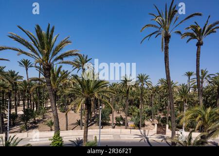 Huerto del Pastoret ,Palmeral de Elche, Unesco World Heritage Site ...