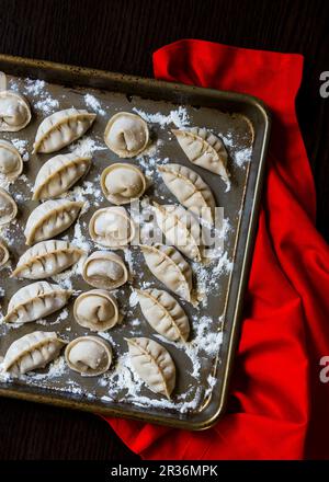 Fresh ingredients for Chinese dumplings Jiaozi filling with minced meat ...