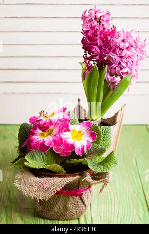 Pink hyacinth flowers. Spring decor Stock Photo - Alamy