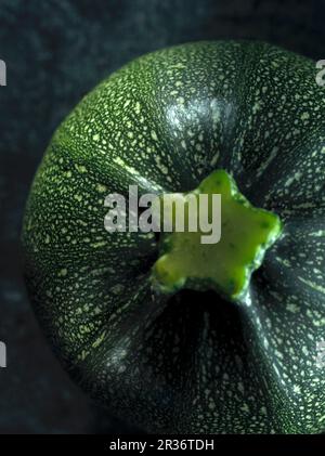 A round courgette (seen from above Stock Photo - Alamy