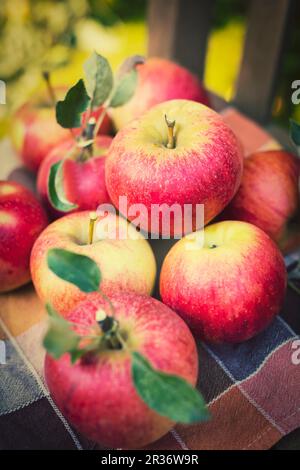 Idared apple variety Stock Photo - Alamy