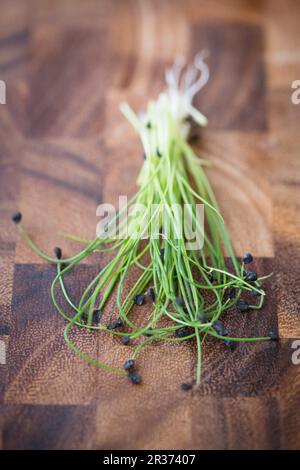Rock chives sprouts Stock Photo - Alamy