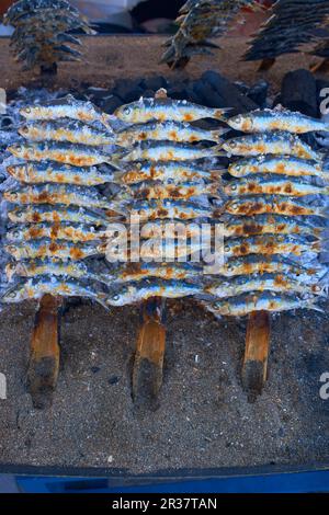Benalmadena, Grilled sardines, Espeto de Sardinas, Malaga. Andalusia ...