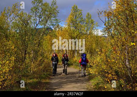 Trekking Nikkaluokta, Kebnekaise Fjaellstation, Lapland, Sweden2 Stock ...