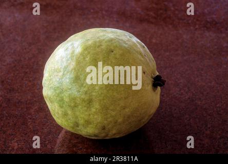 Guava (Psidium guajava linn) fruit with leaf, studio shot, Tamil Nadu ...