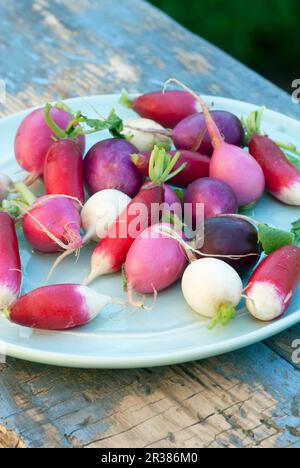 Fresh multi-coloured radish on black background Stock Photo - Alamy