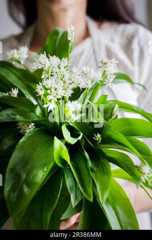 Big Bunch of Garlic Herbs Stock Photo - Alamy