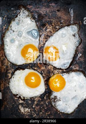 Four fried eggs on a plate on a glass table Stock Photo - Alamy