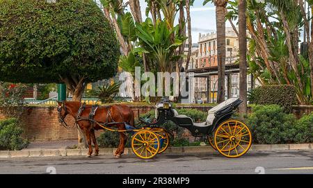 Exotic tourist transport in carriage with horse in Malaga Stock Photo ...