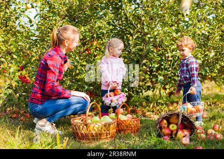 Mother And Girl Twins At The Apple Orchard Stock Photo Alamy