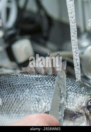A photograph of fresh fish being prepared in a traditional Korean food ...