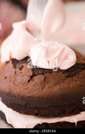 Decorating and finishing Chocolate Cake Stock Photo - Alamy