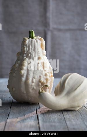 A pale warty squash Stock Photo - Alamy
