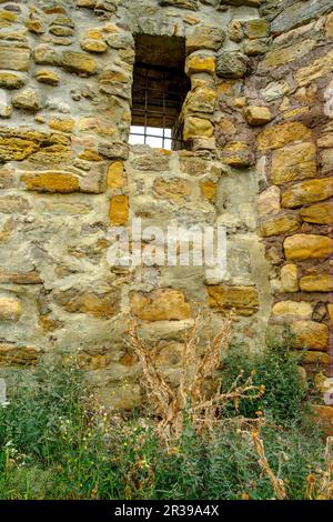 Remains of castle walls with window, Mühlburg Castle, one of the so ...