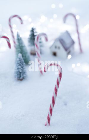 Decorative Christmas trees and snow on color background Stock Photo - Alamy