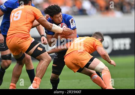 Panasonic Wild Knights' Shota Fukui during the 2022-23 Japan Rugby ...