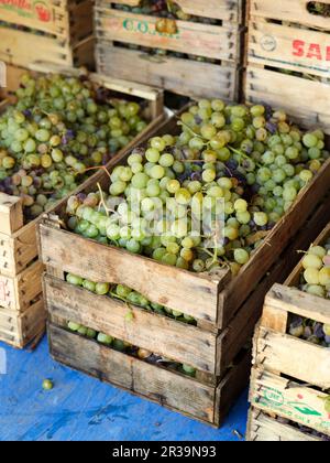 boxes for the grapes at harvest time Stock Photo - Alamy
