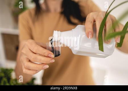 Hand pouring liquid fertilizer into a plant pot in a garden Stock Photo ...