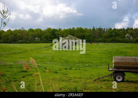 Water tank on an animal pasture Stock Photo - Alamy