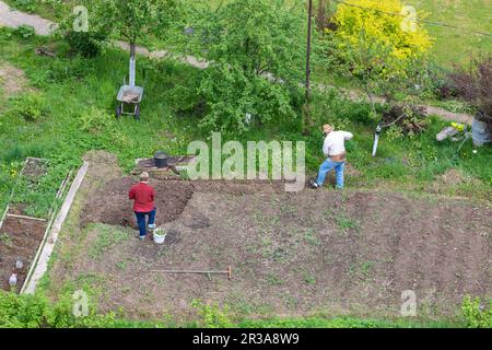 An adult couple is digging up their plot of land in the country for ...