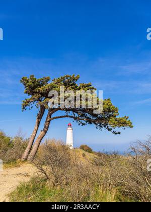 Insel Hiddensee, Ostsee, Urlaub, Tourismus, Insel, Frühling, 2025, Mai ...