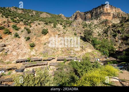 Sources of Oum Rabia, Zaouia de Ifrane, Middle Atlas,, Morocco, Africa ...