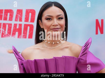 LOS ANGELES - MAY 22: Stephanie Sy at the FUBAR TV Series Premiere ...