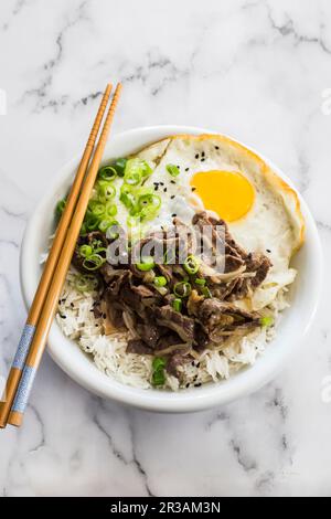 Gyudon , Beef bowl on rice , Japanese food Stock Photo - Alamy