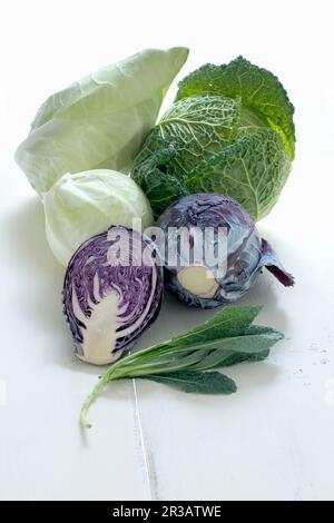 Various types of cabbage, savoy cabbage, white cabbage, red cabbage and ...