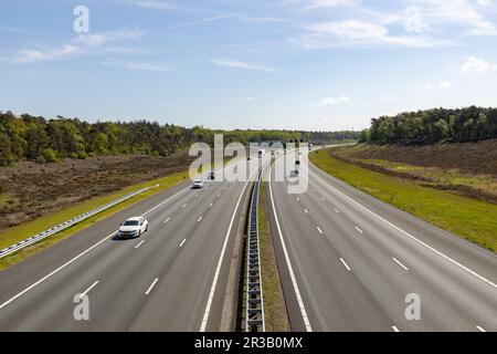 Road traversed by wildlife crossing forming a safe natural corridor ...