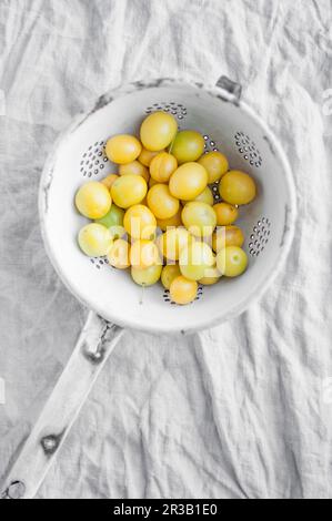 yellow plum in a sieve Stock Photo - Alamy