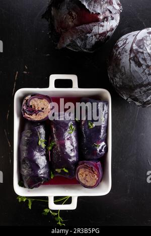 Stuffed cabbage rolls in a baking tray on a black background. Selective ...