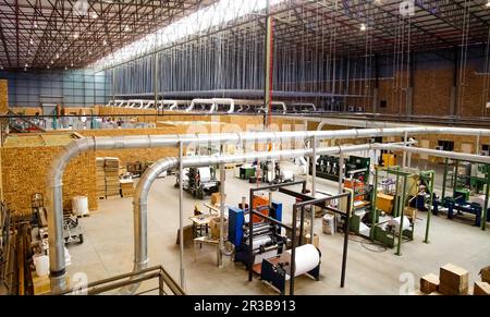 Inside a Printing and Packaging Factory Facility Stock Photo - Alamy