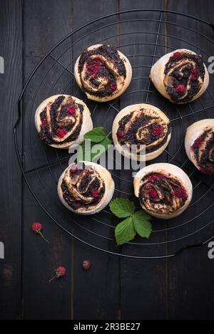 Snail eating a raspberry Stock Photo - Alamy